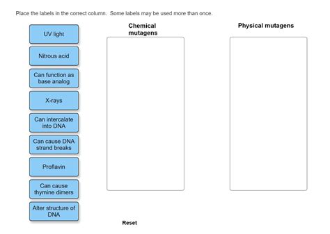 Solved Place The Labels In The Correct Column Some Labels