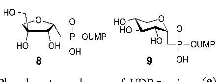 Figure 1 From Analysis Of UDP D Apiose UDP D Xylose Synthase Catalyzed Conversion Of UDP D