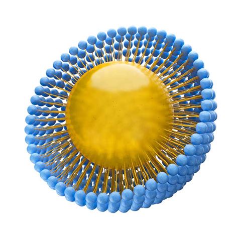 Pdrn In Scalp Products Revolutionizing Hair Care Ossomehair