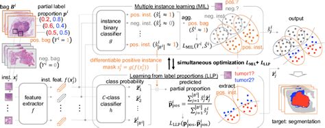Figure 1 From Learning From Partial Label Proportions For Whole Slide Image Segmentation