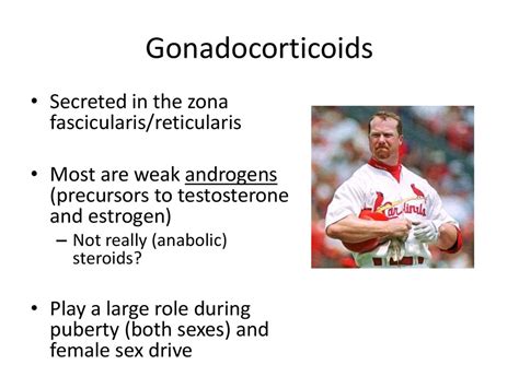 The Endocrine System презентация онлайн