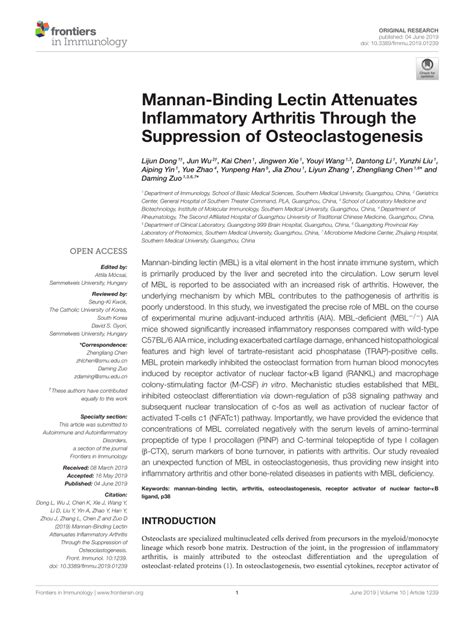 Pdf Mannan Binding Lectin Attenuates Inflammatory Arthritis Through The Suppression Of