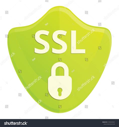 Https Ssl Certificate Icon Cartoon Https Stock Vector Royalty Free 1959333541 Shutterstock