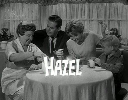 The Terrible Catsafterme Blog Archive Hazel