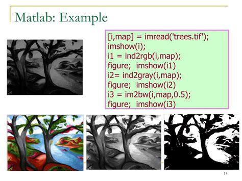 PPT Digital Image Processing Lecture 2 Image Types Matlab