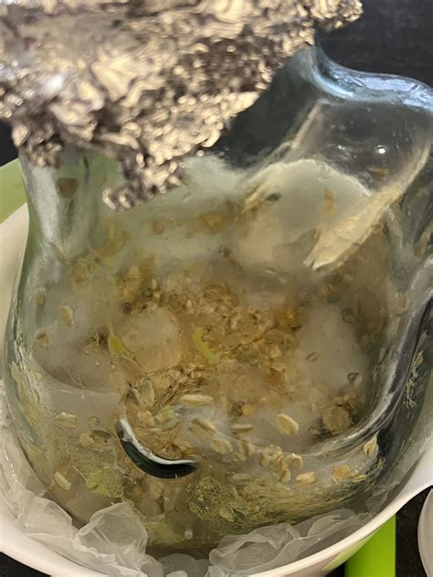 Biophilic Experiences Physarum Polycephalum — Norman Addison Worthington Iv