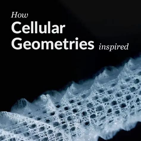 The Top 10 Best Biomimicry Examples Of 2022 So Far 🏆