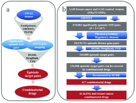 Pipeline For Identifying Epistatic Target Pairs In Genome Wide Download Scientific Diagram