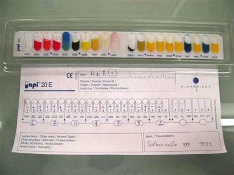 Pigtrop About Pig Production In Developing Countries 2 Api 20e