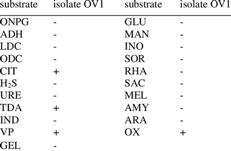Results Of API E Tests For Bacterial Isolates Download Table