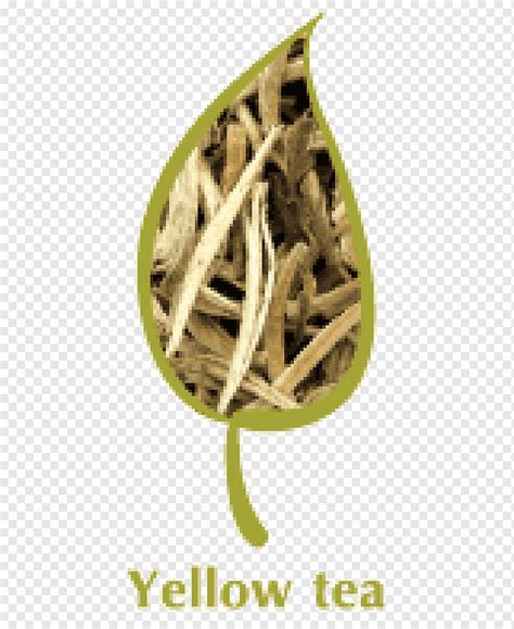 녹차 우롱 롱징 차 백차 차 Png Pngwing