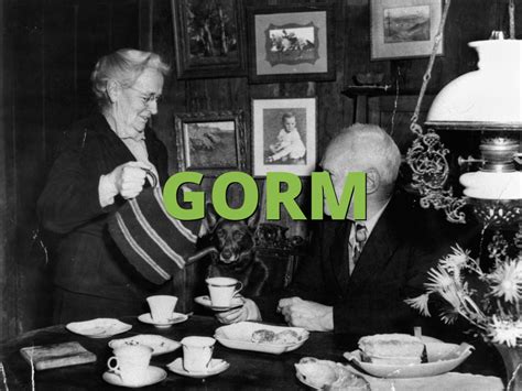 Gorm Meaning