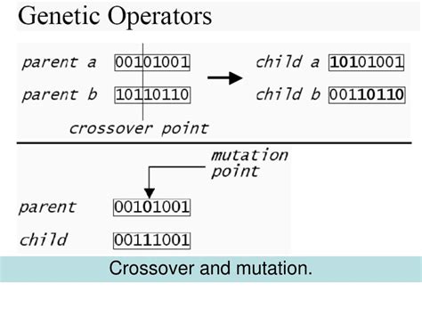 Ppt Genetic Programming Powerpoint Presentation Free Download Id911223