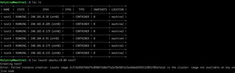 Lxd 40 Cluster Cannot Launch Instance Frequently Lxd Linux Containers Forum