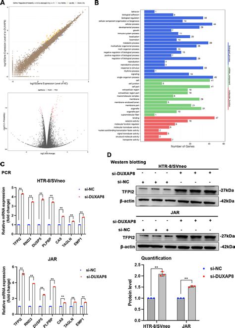Gene Expression Profiling A The RNA Transcriptome Sequencing Analysis Download Scientific