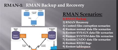 Rman Backup Status And Query
