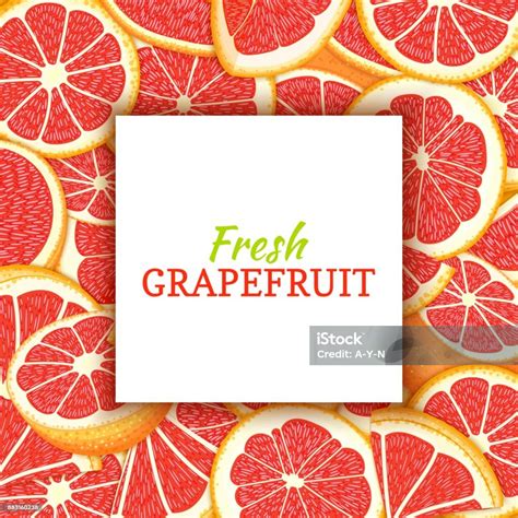 감귤 류의 붉은 자 몽 배경에 흰색 라벨 광장 벡터 카드 그림입니다 열 대 신선 하 고 달콤한 포 멜로 밀접 하 게 간격 포장 주스 아침의 디자인에 대 한 배경 건강한