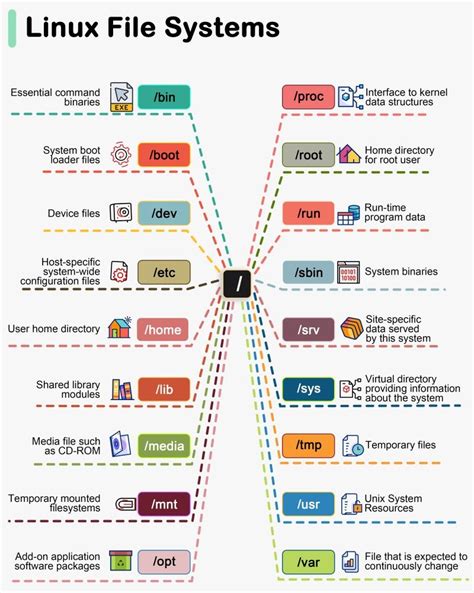 Linux File Systems Trên Ubuntu Server Và Rocky Linux Khác Gì Nhau Và
