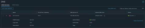 Enable DNS Resolution For Public URLs From Oracle Cloud VMware Solution NSX T Overlay Segment