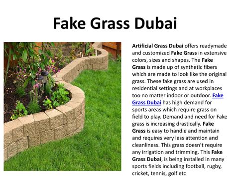 Ppt Fake Grass Dubai Powerpoint Presentation Free Download Id11553809