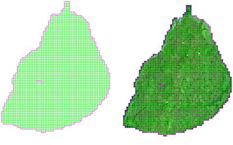 Manage Mosaic Datasets