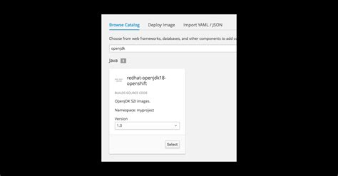 Getting Started With Openshift Java S2i Red Hat Developer