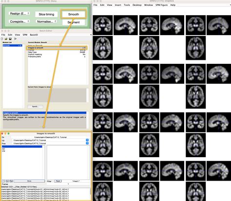 cat12 tutorial 3 preprocessing the data and qa checks — andy s brain book 1 0 documentation