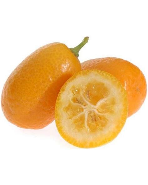 Купить Кумкват Бразилия в Fruitonline.