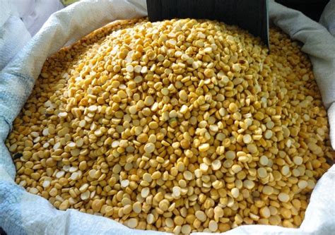 ယခုဘဏ္ဍာနှစ် ၂ လတာ ကာလအတွင်း ပြည်ပသို့ ကုလားပဲတင်ပို့မှုမှ အမေရိကန်ဒေါ်လာ သုံးသိန်းကျော်ရရှိထား