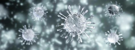 What Is C Diff And Is It Catchy Umedoc Telehealth Platform