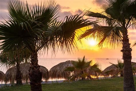 Tropical Palm Tree Summer Sunset Ocean Landscape Stock Image Image