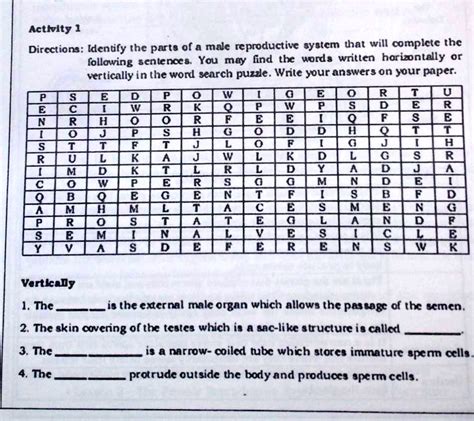 SOLVED Activity 1 Directions Identify The Parts Of A Male Reproductive System That Will