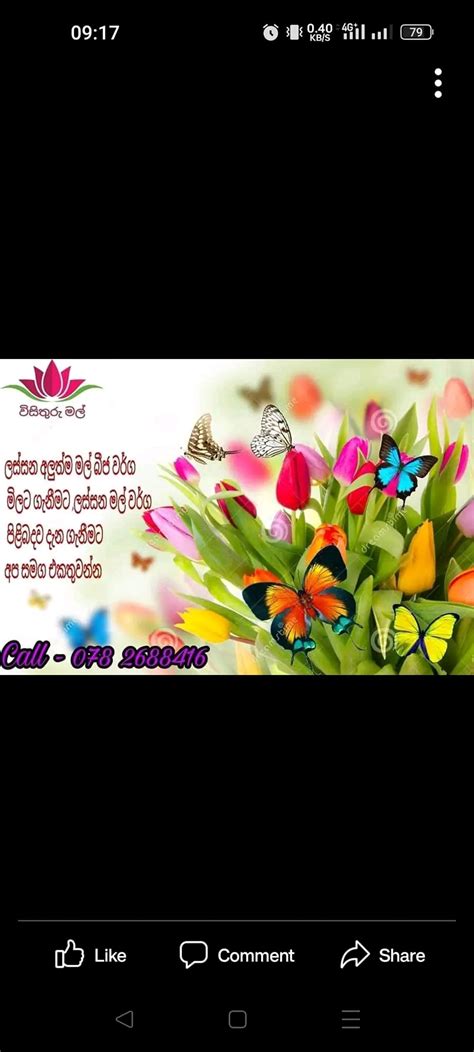 ඕකිඩ් පැල අලෙවිය හා ඕකිඩ් පැල අලෙවිය හා මල් මිලට ගැනීම
