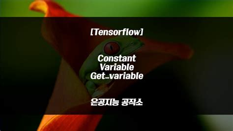 Tensorflow 2 Constant Variable Getvariable Youtube