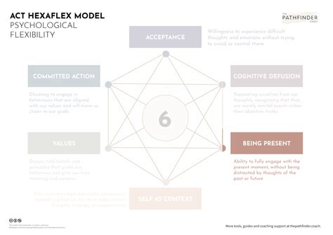 Act Hexaflex Model The Pathfinder