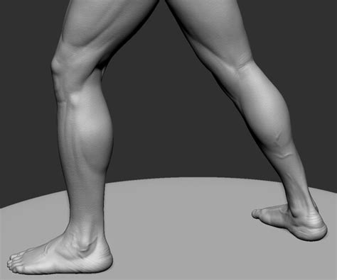 Artstation Realistic Anatomy 3d Print Ready Resources