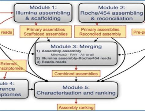 De Novo Assembly Of Bacterial Transcriptomes From Rna Seq Data Rna