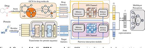 Figure 2 From A Cross Field Fusion Strategy For Drug Target Interaction Prediction Semantic