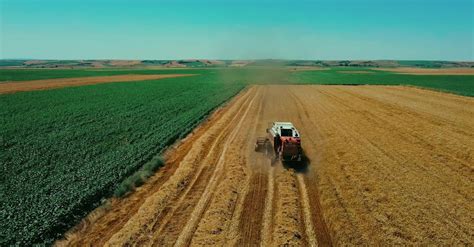 Безкоштовне стокове відео аграрний агробізнес агрономія агротехніка