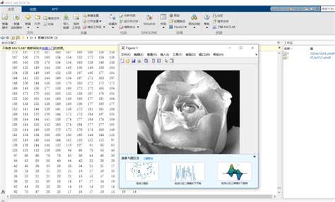 【实验报告】实验一 图像的显示运算与灰度变换图像灰度变换实验报告 Csdn博客