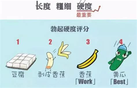 丁丁上长小珍珠正常吗丁丁的5个小知识 知乎