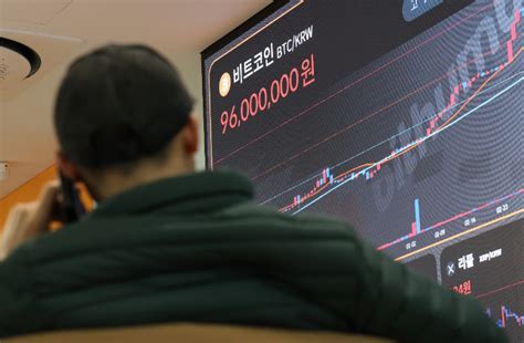 비트코인 출렁 나비효과알트코인 반토막 비명 노컷뉴스