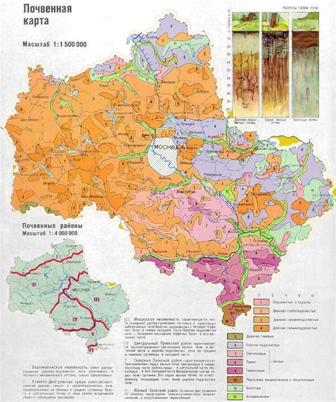 Описание почвы московской области фото
