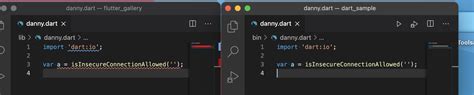 Go To Defintion Does Not Work For IsInsecureConnectionAllowed In Dart Io When Inside A Flutter