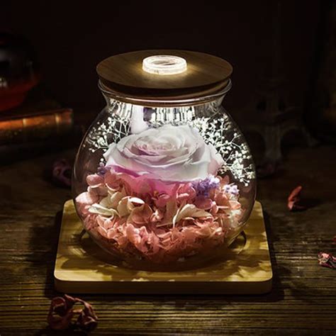 Preserved Rose Light Bottle Apollobox