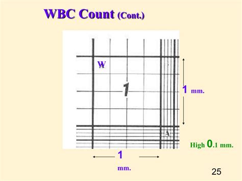 PPT RBC Count Hb Hct Blood Indices WBC Count Plt Count PowerPoint Presentation ID 5385305