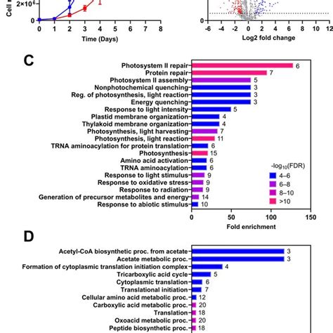 Proteomics Data Overview A Growth Of Cc 125 And Mut 5 Cultivated Under