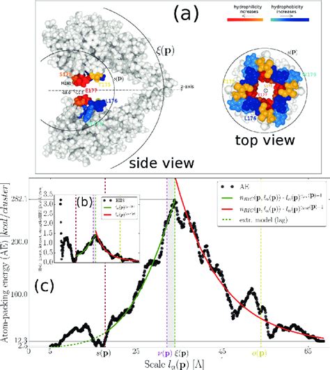 Non Extensive Modeling Of The Interatomic Hydropathic Interactions