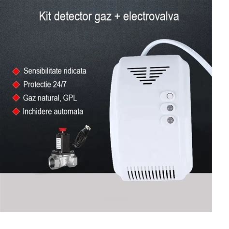 Kit Detector Gaze Naturale Gpl Si Gaze De Carbune 220v Cu Electrovalva 12v Dn20 Acj 618ff