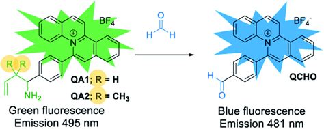 Our Strategy To Detect Fa By Quinolizinium Based Fluorescent Probes